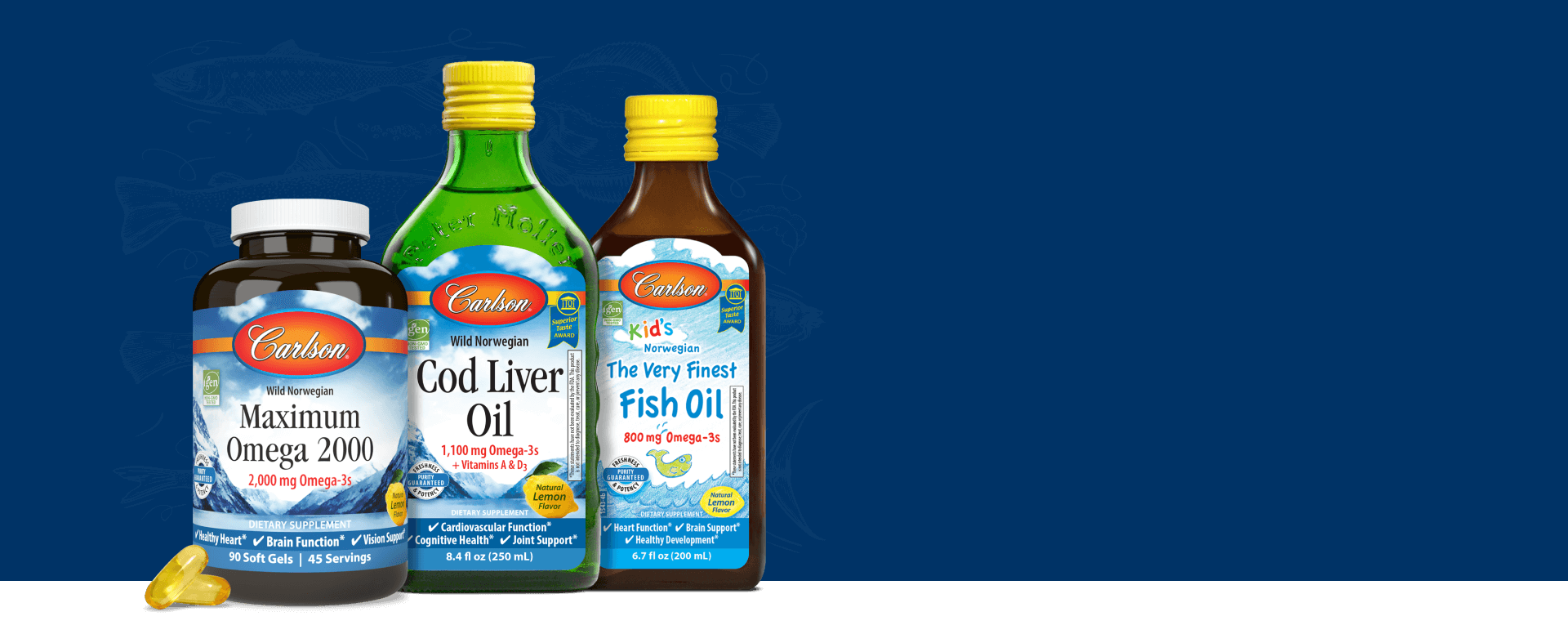 Entendiendo el Omega-3 en 3 minutos – Wellu